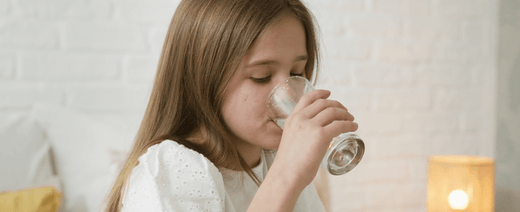Best 5 Water Filters in Australia 2025: Ultimate Guide